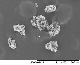 BT36テフラデータ
